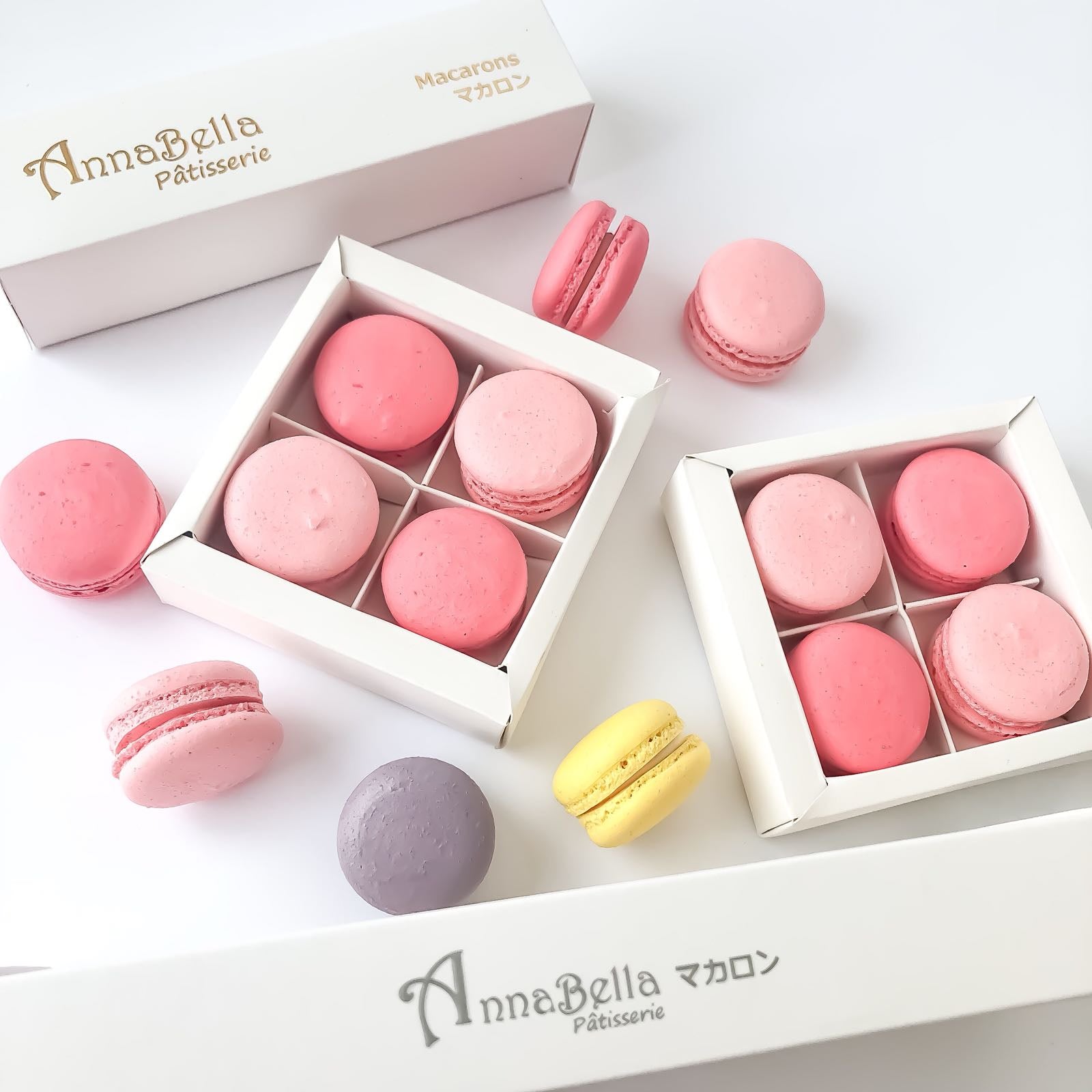4pcs Macarons Door Gift x 10 Sets | Choose 4 Classic Flavors